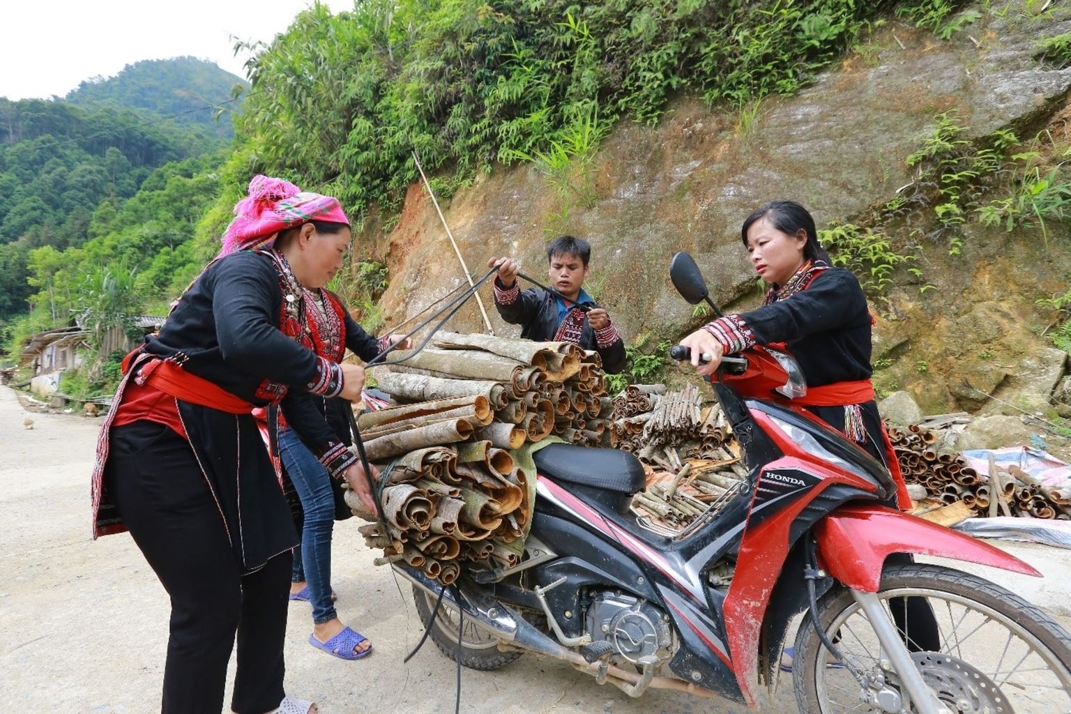Women’s Economic Empowerment through Agricultural Value Chain ...