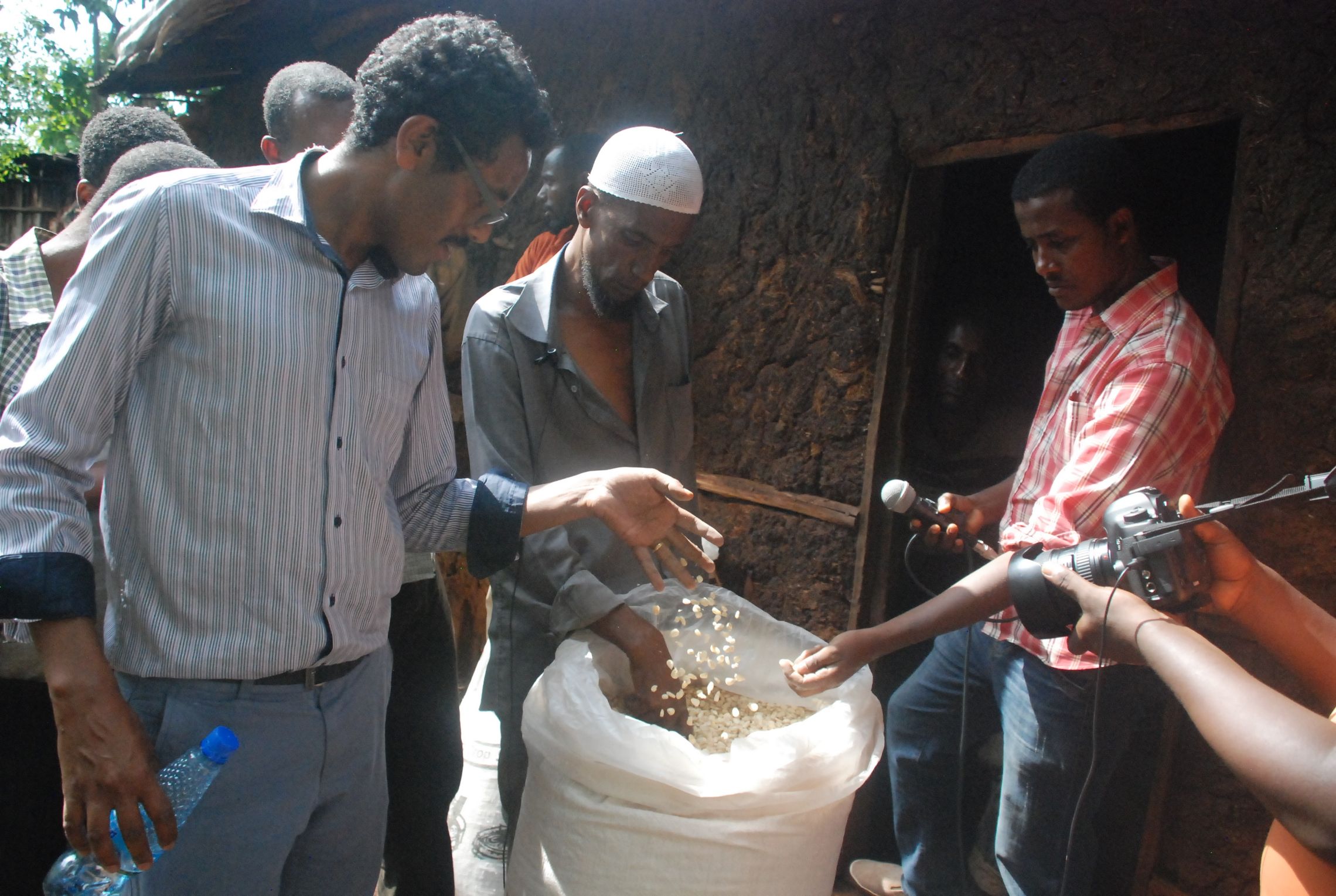 Puzzling out Ethiopian farmers’ crop storage issue | SNV