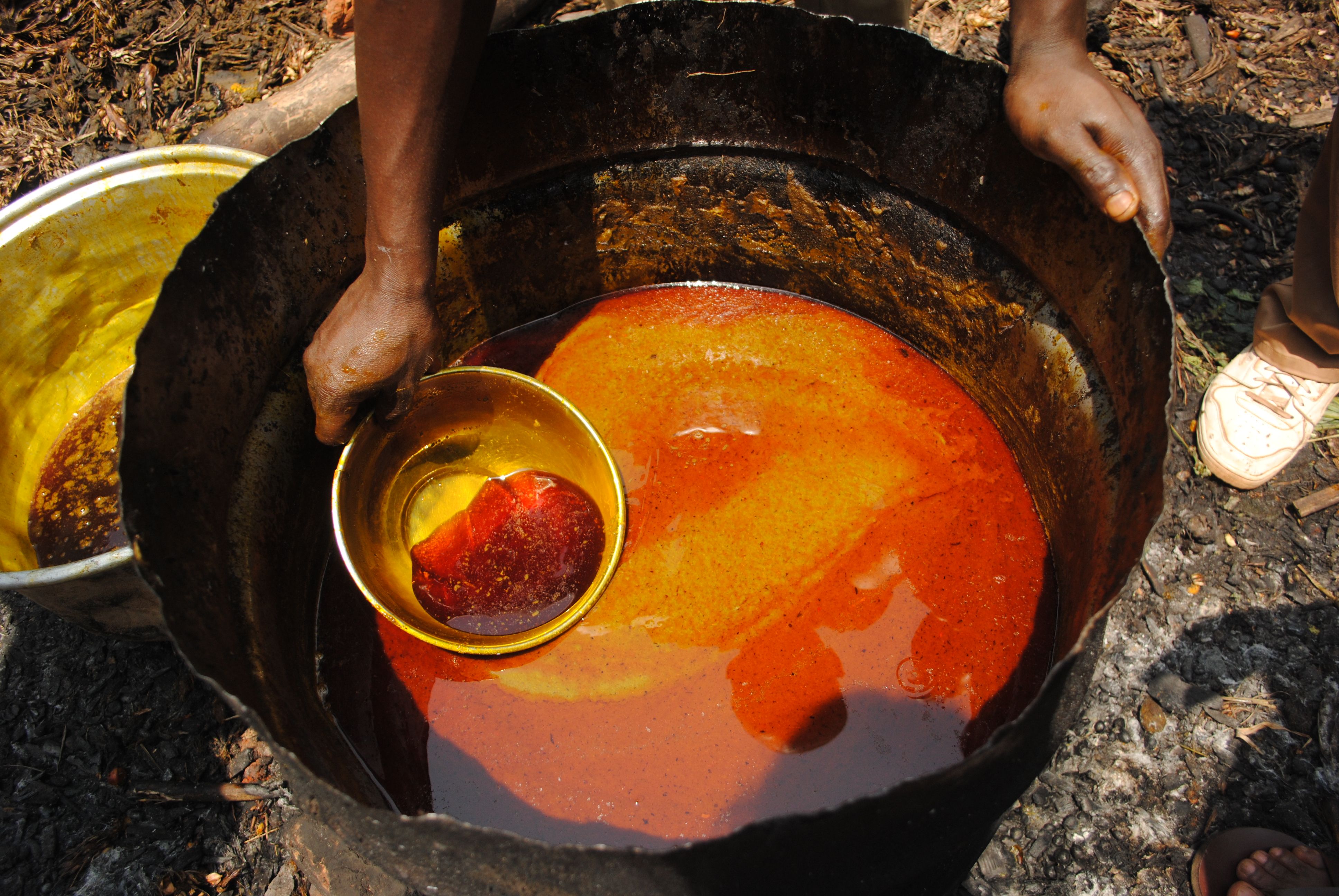 Smallholder palm oil farmers can farm sustainably, but external support ...