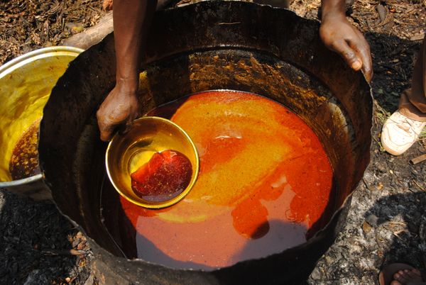Smallholder palm oil farmers can farm sustainably, but external support ...