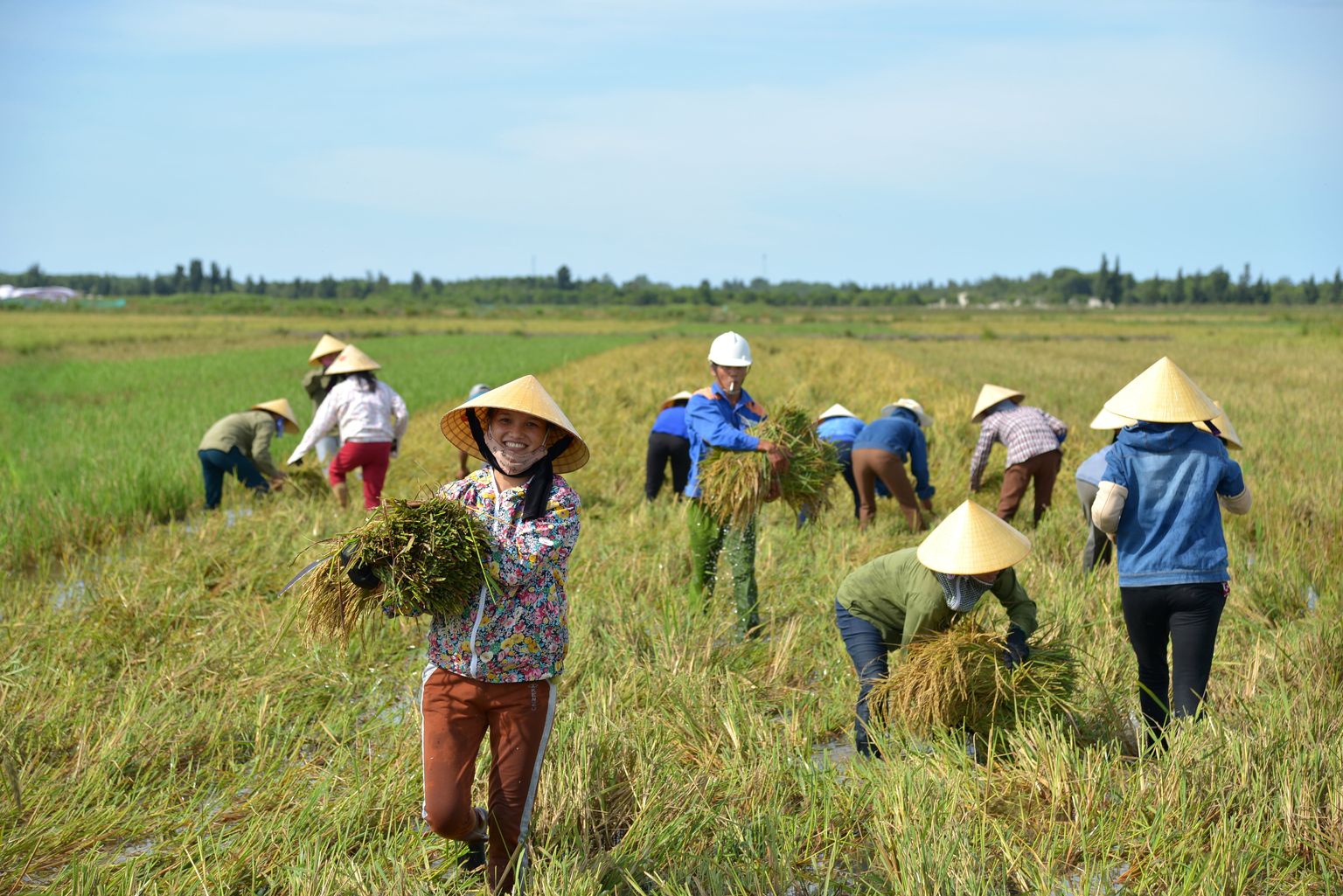 EOWE programme launches gender-responsive inclusive business package in ...
