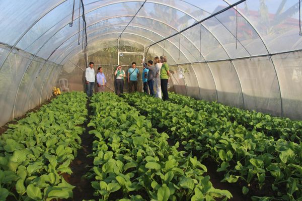 SNV CEO Meike van Ginneken visits Cambodia | SNV