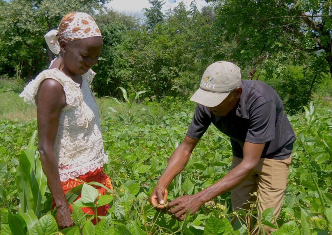 Climate resilient agriculture: The smart way for green gram farmers | SNV
