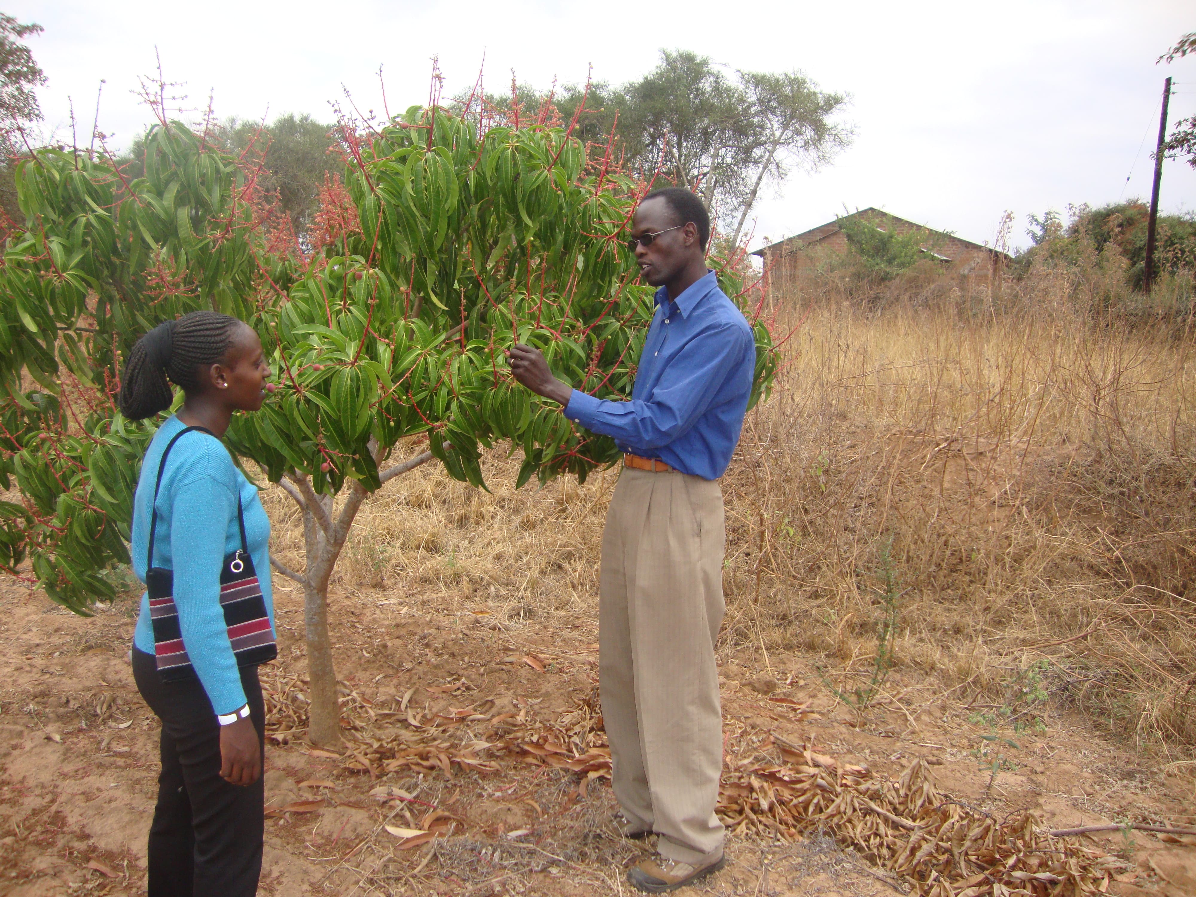 Program for Rural Outreach of Financial Innovations and Technologies ...