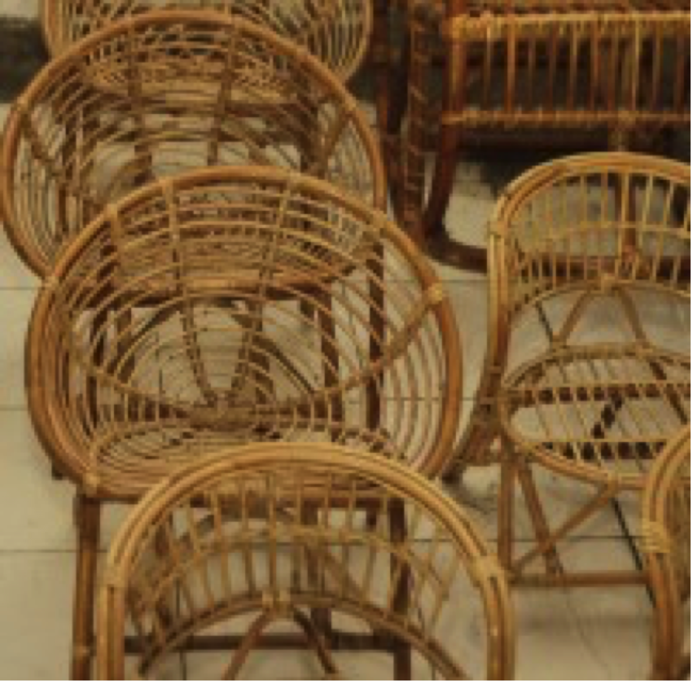 Recognising the need for green rattan: Promoting Eco-friendly Rattan ...