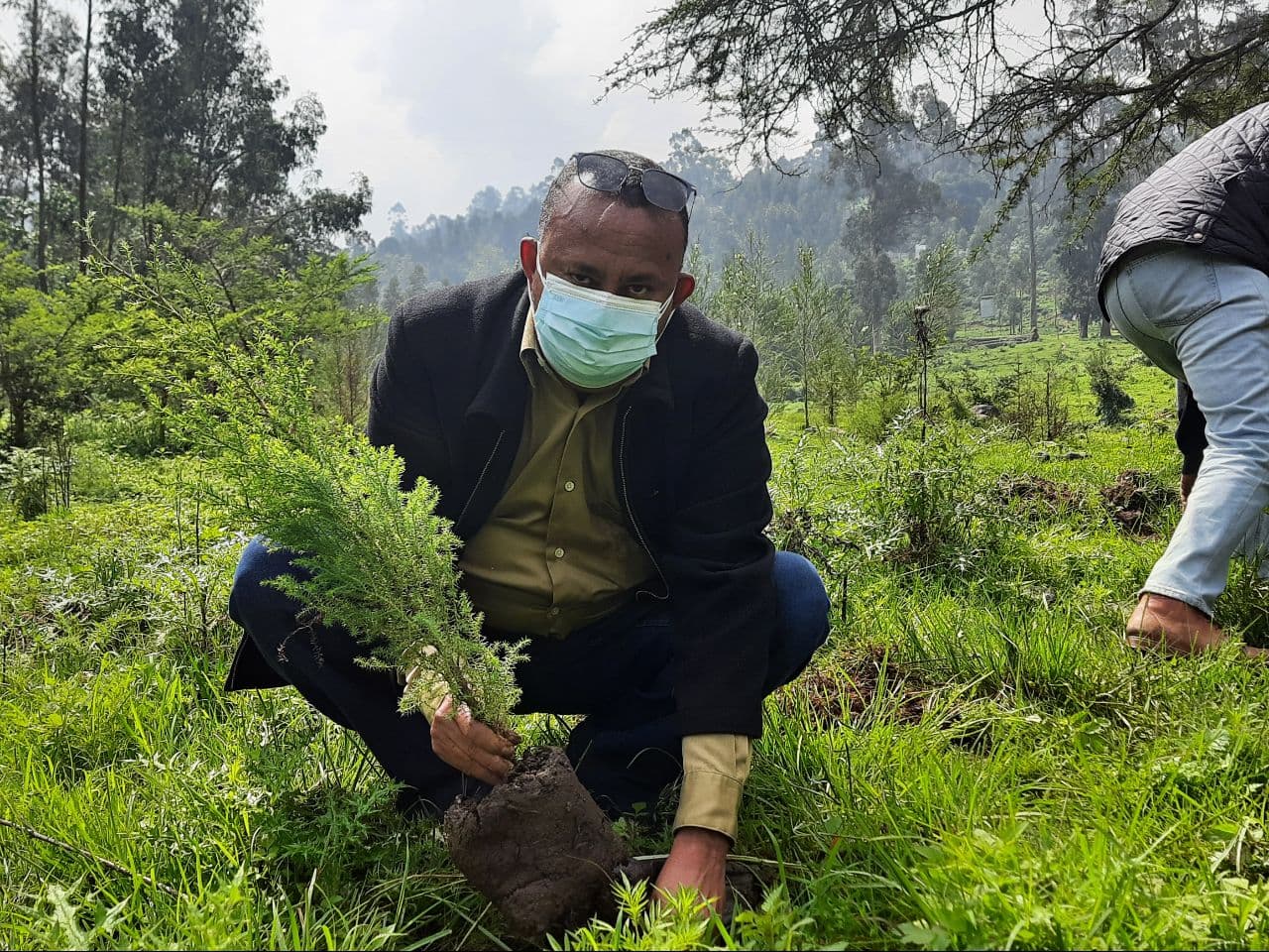 SNV in Ethiopia participates in 2021 Green Legacy tree planting ...