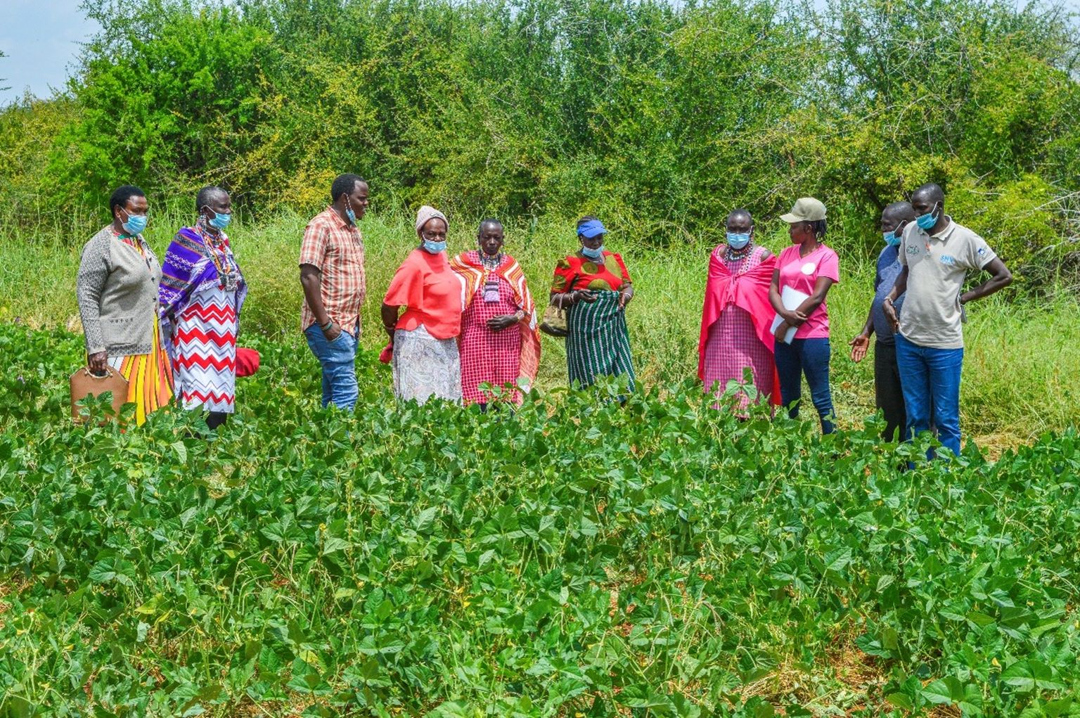 Access to Solar Water Pumps in Laikipia | SNV