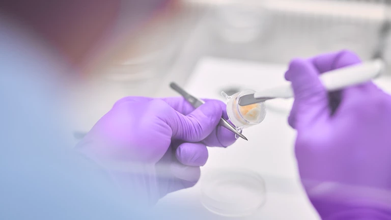 Σχετικά με τη Roche