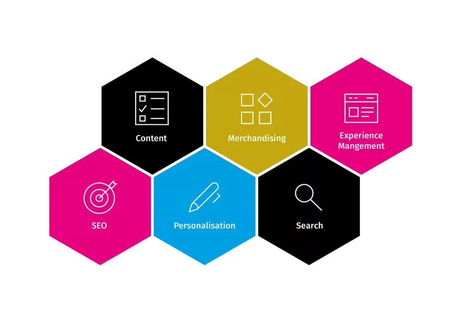 World's leading Bloomreach Platinum Partner