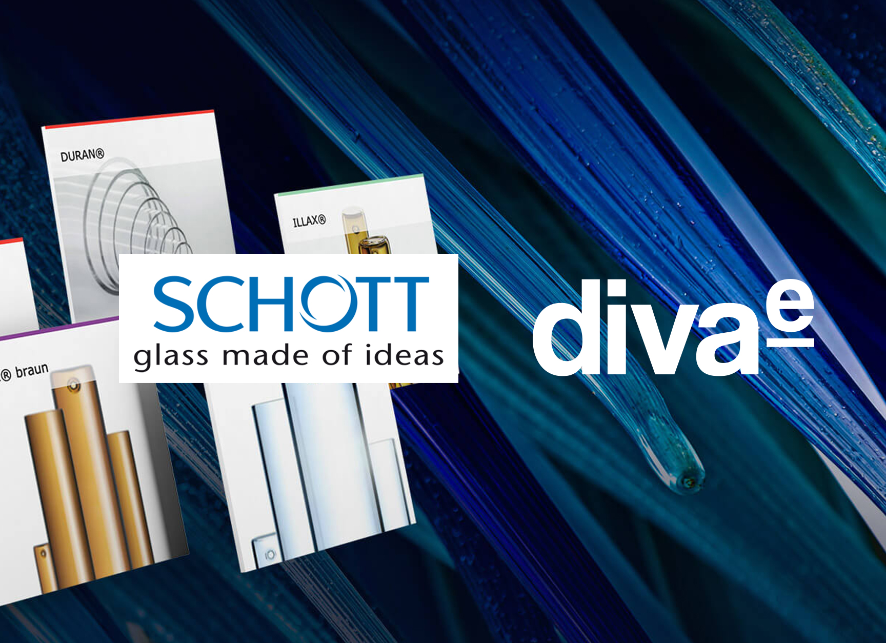 SCHOTT: User-friendly B2B store | diva-e Conclusion