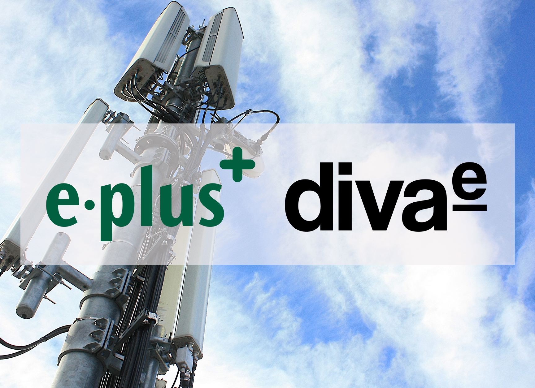 E-Plus Self-Service Portals: White-Label CMS & Efficiency | diva-e Conclusion