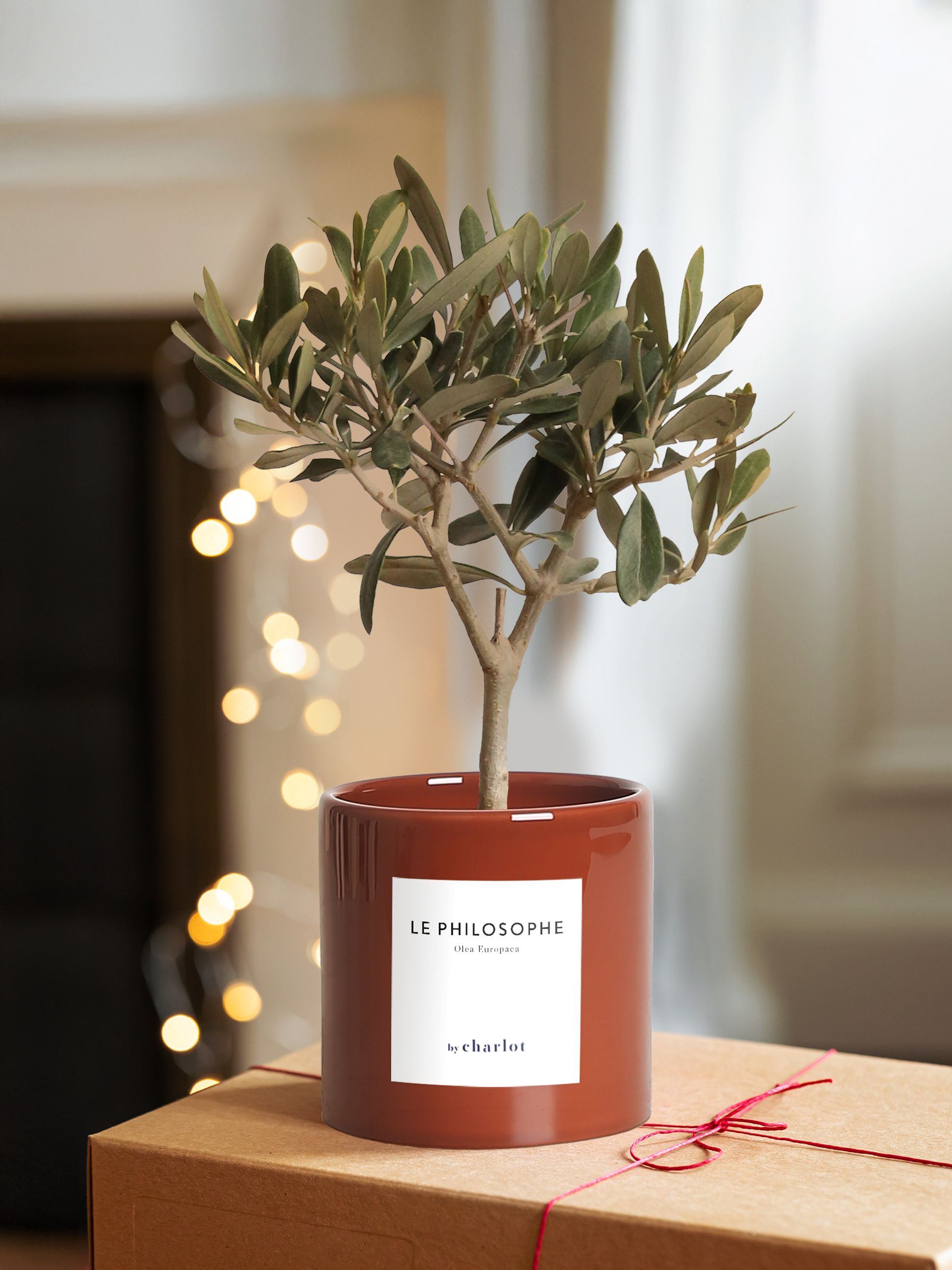 La Maison By Charlot