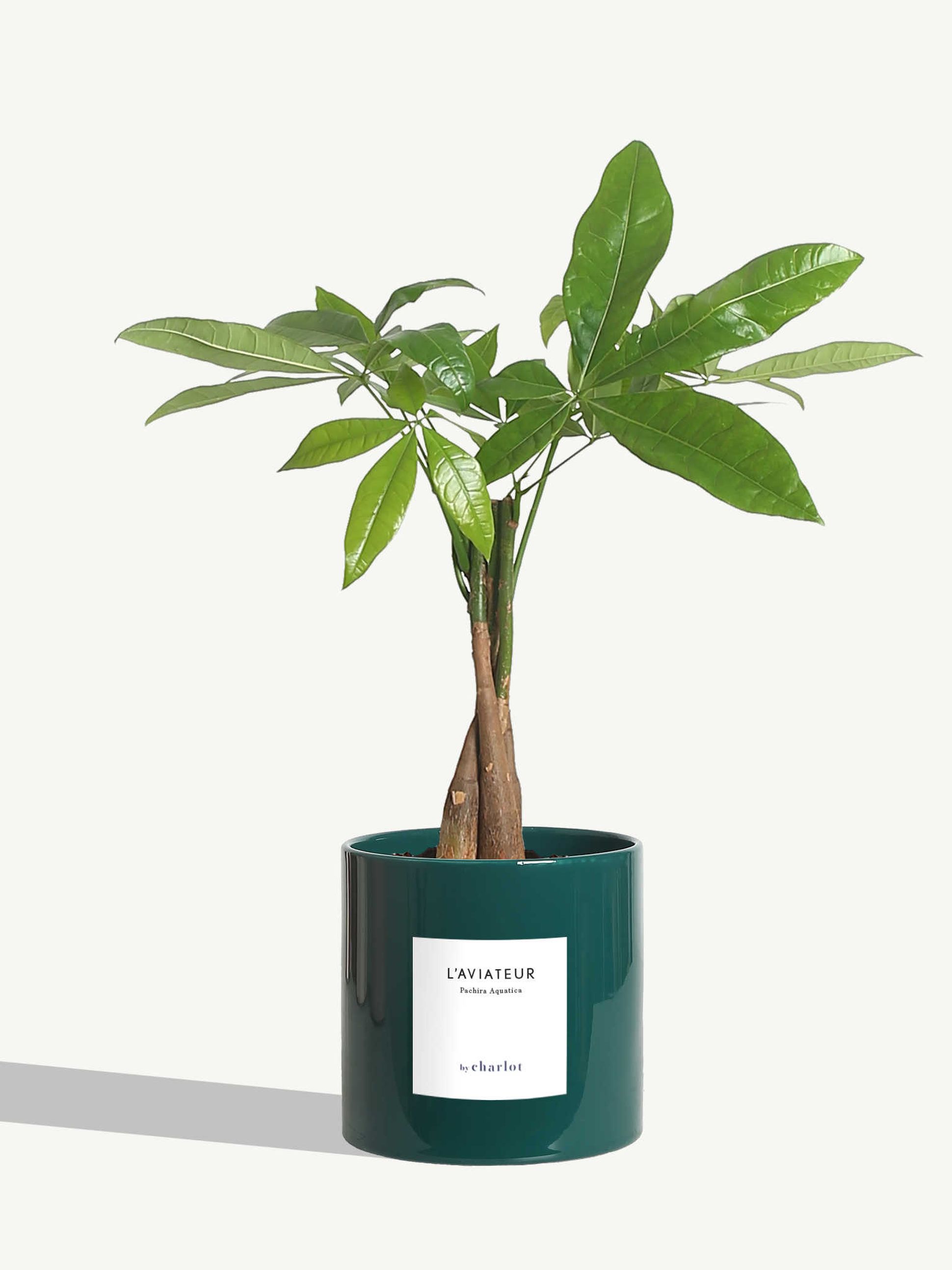 La Maison By Charlot