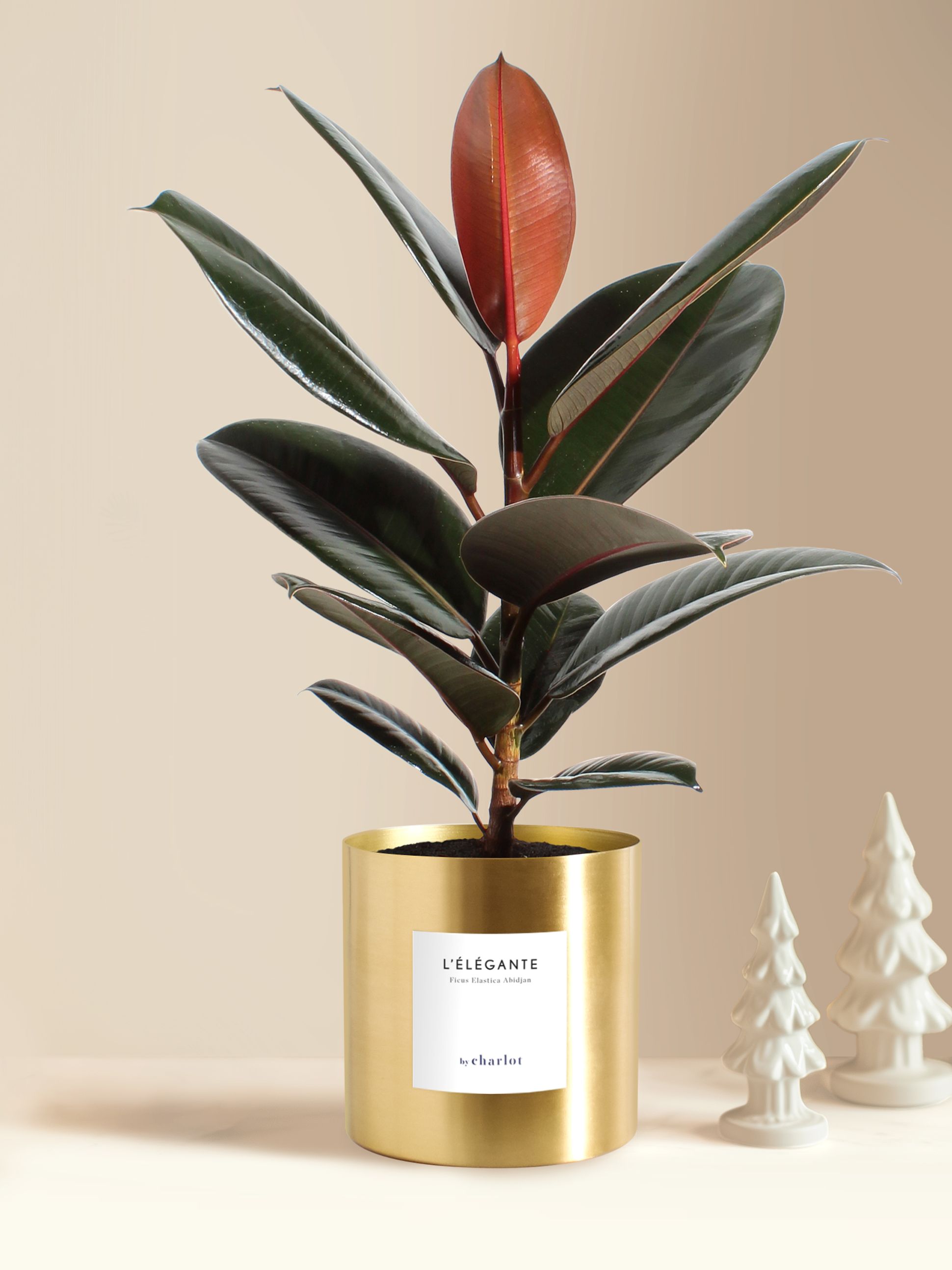 La Maison By Charlot