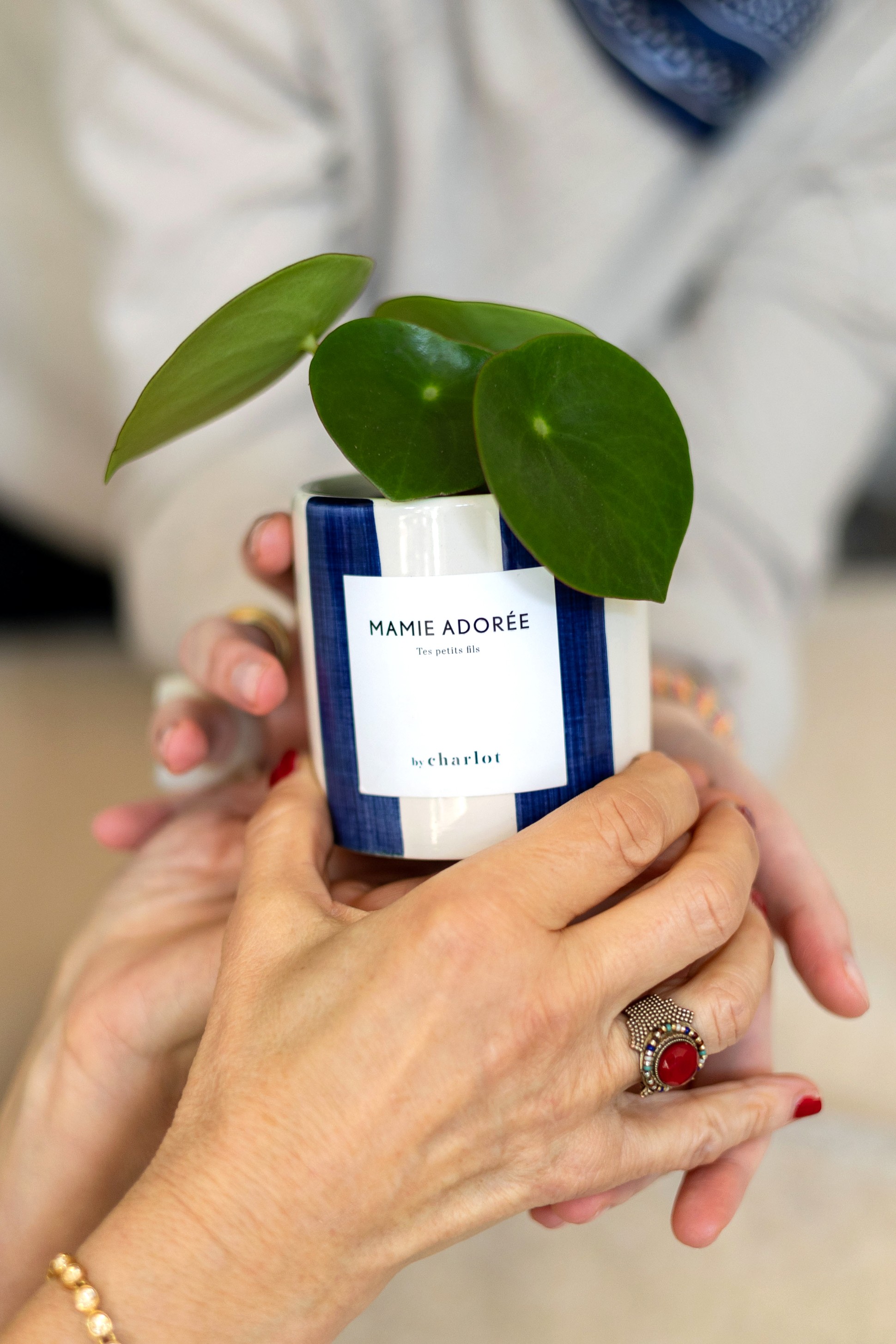 La Maison By Charlot