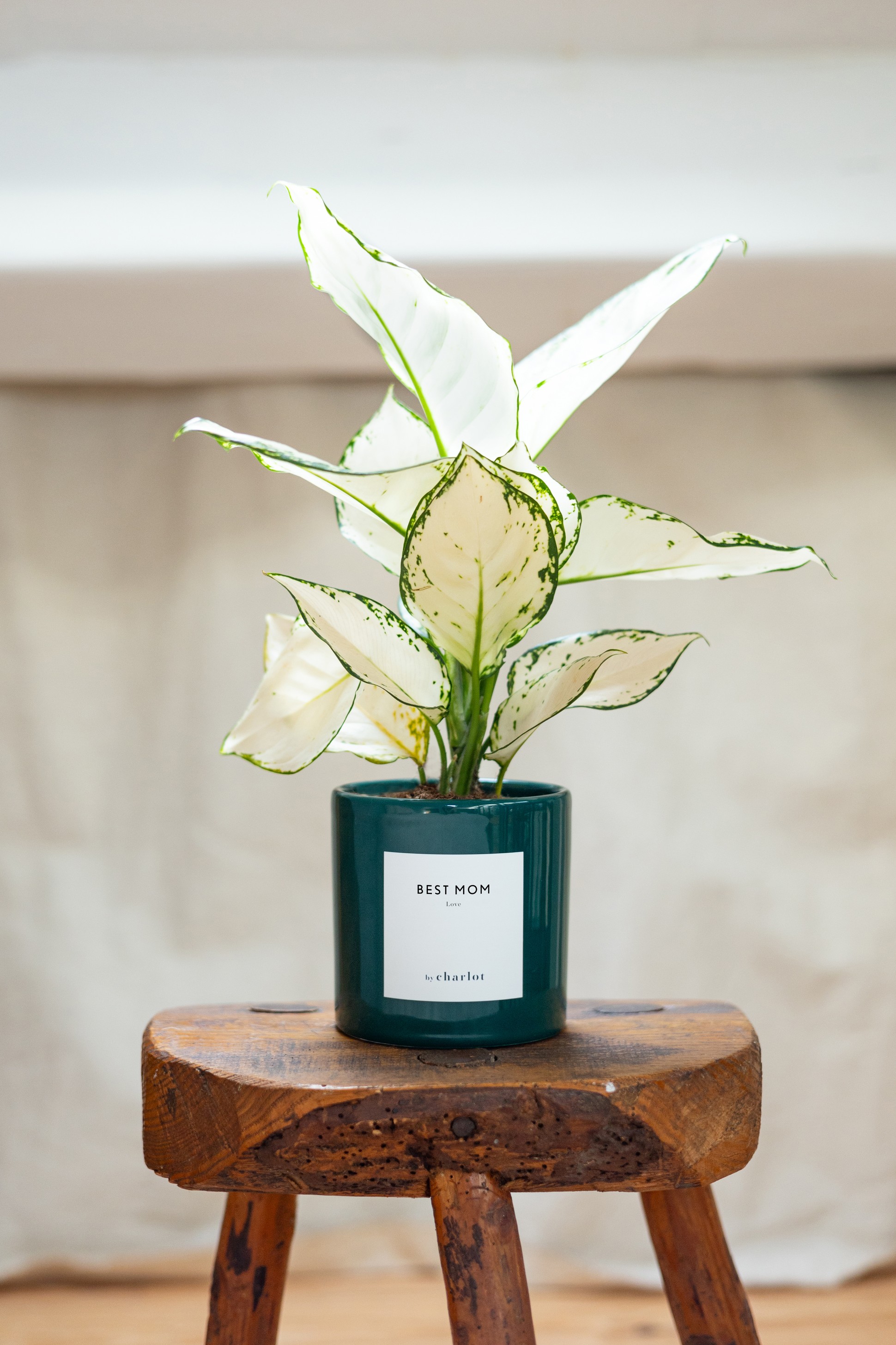 La Maison By Charlot