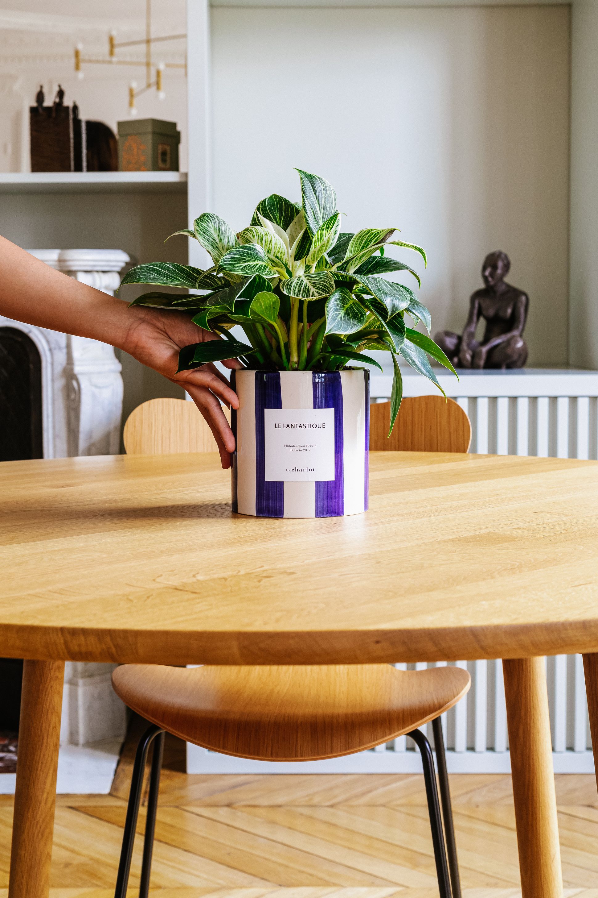 La Maison By Charlot