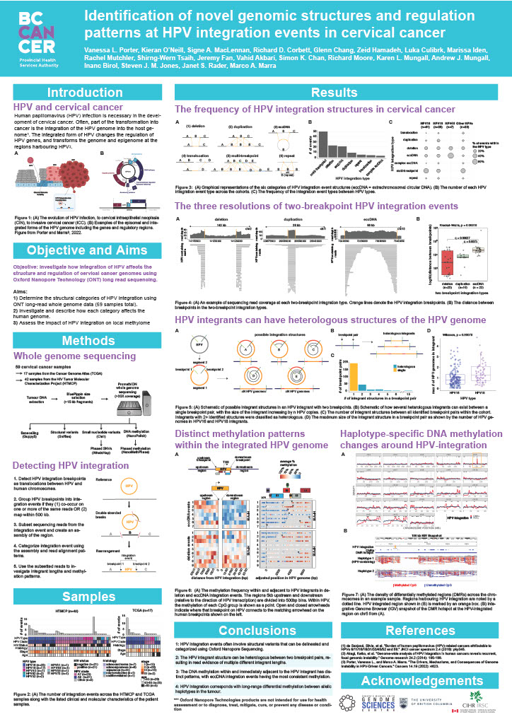 Identification Of Novel Genomic Structures And Regulation Patterns At Hpv Integration Events In