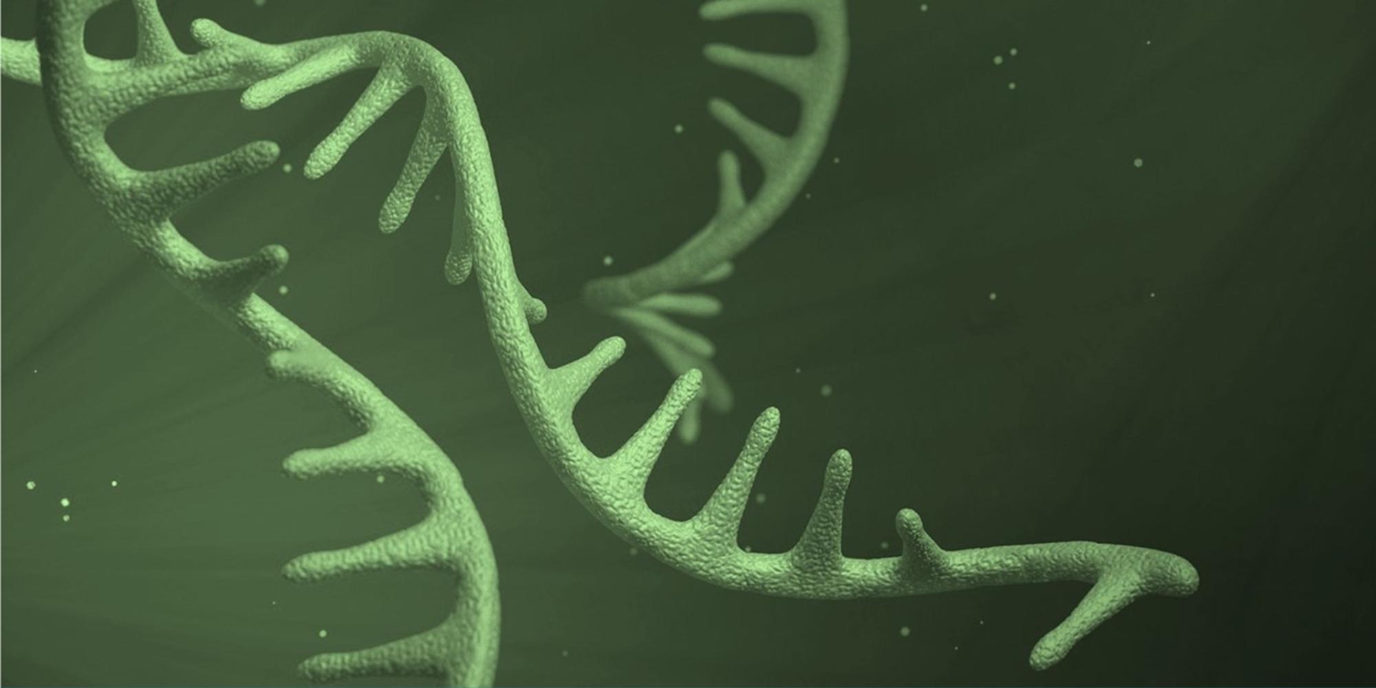 Ncm 2022 Ultra Deep Targeted Long Read Transcriptome Sequencing