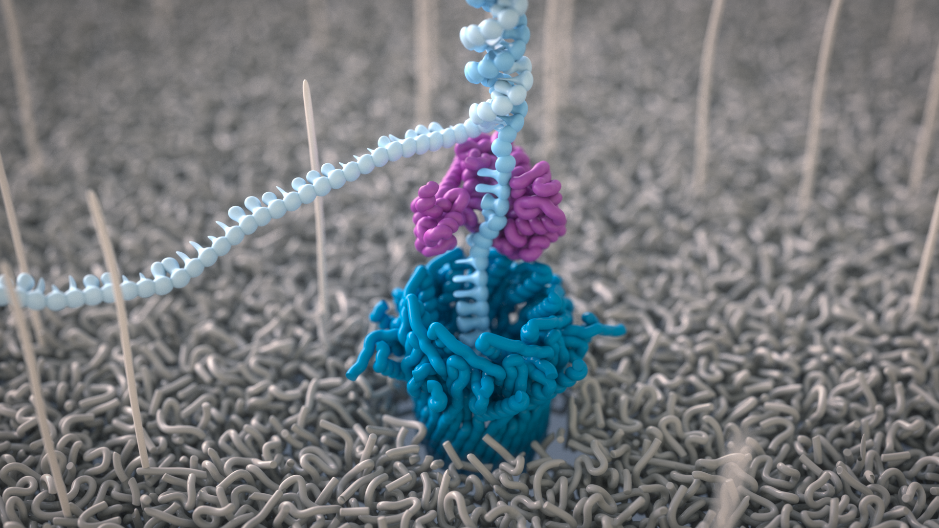 Oxford nanopore sequencing in clinical microbiology and infection ...