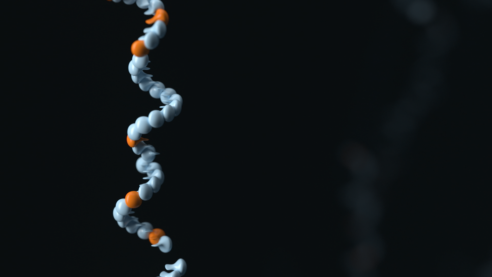 A Signal Processing And Deep Learning Framework For Methylation