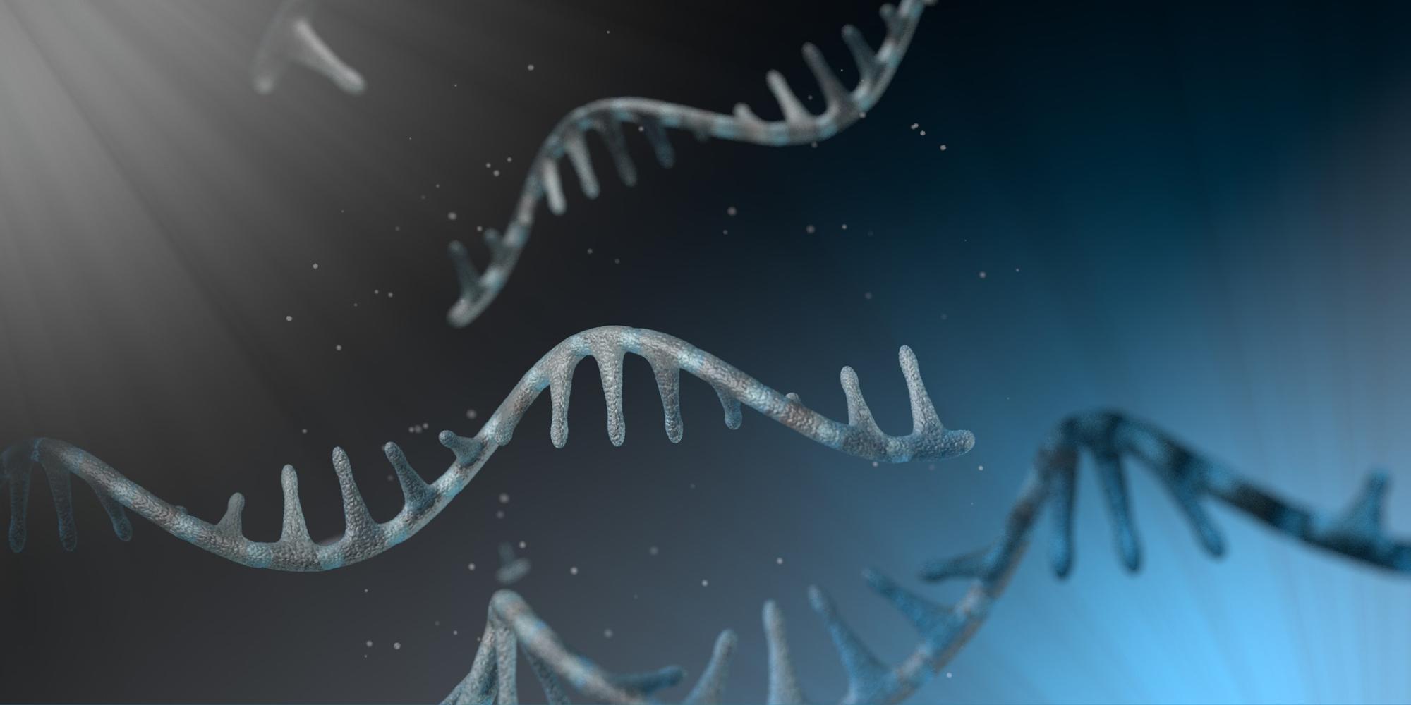 NCM 2022: Direct RNA sequencing reveals multi-intron splicing order and poly(A) tail lengths ...