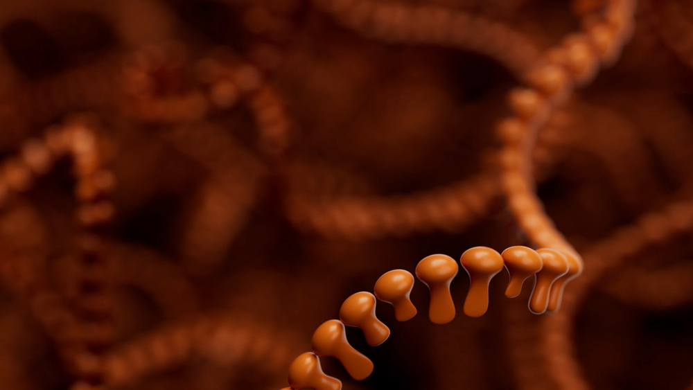 Comparative Analysis Of 43 Distinct Rna Modifications By Nanopore Trna Sequencing