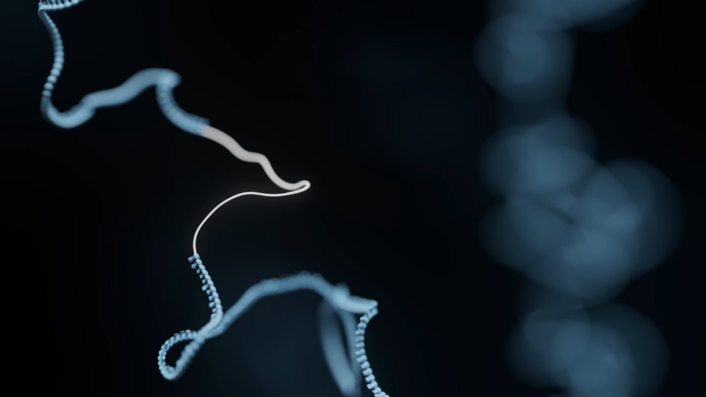 Quantification of residual plasmid DNA and SV40 promoter-enhancer ...