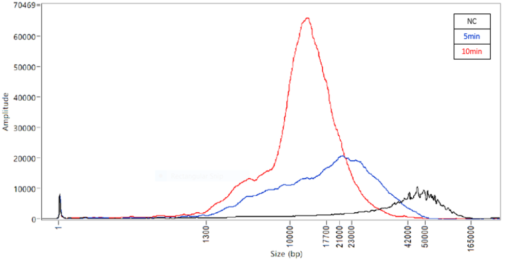 High throughput genomic DNA shearing