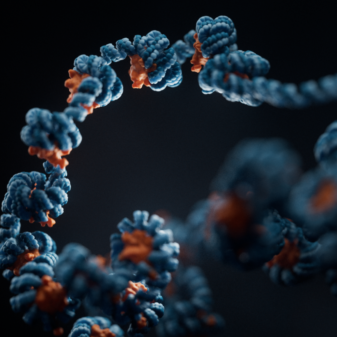Understanding the binding of multiple transcription factors by base-pair-resolution chromatin ...
