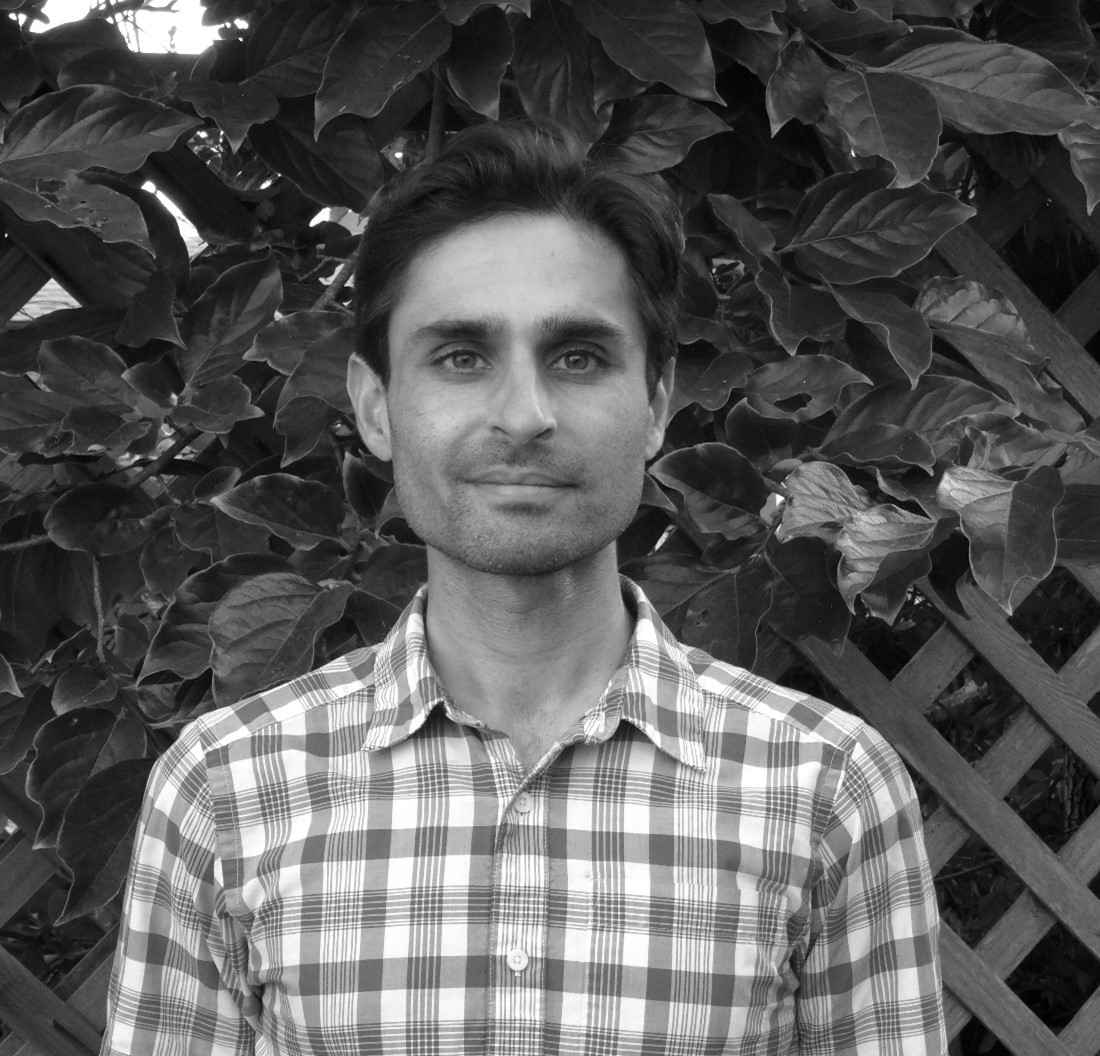 Decoding the epigenome with Oxford Nanopore real-time methylation ...