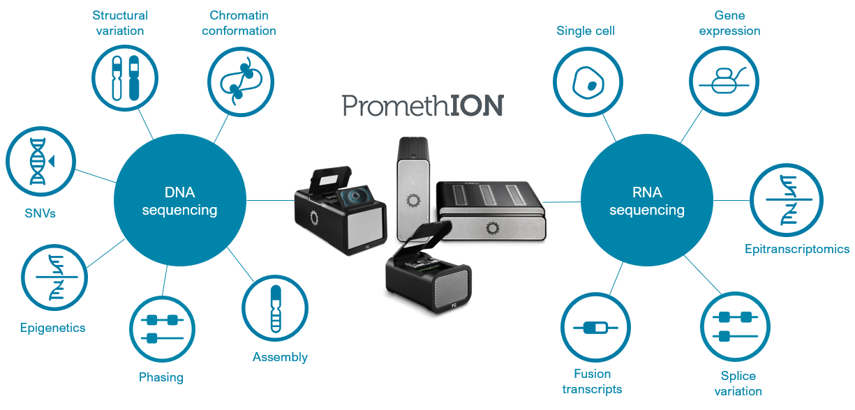 Multiomic sequencing | Oxford Nanopore Technologies