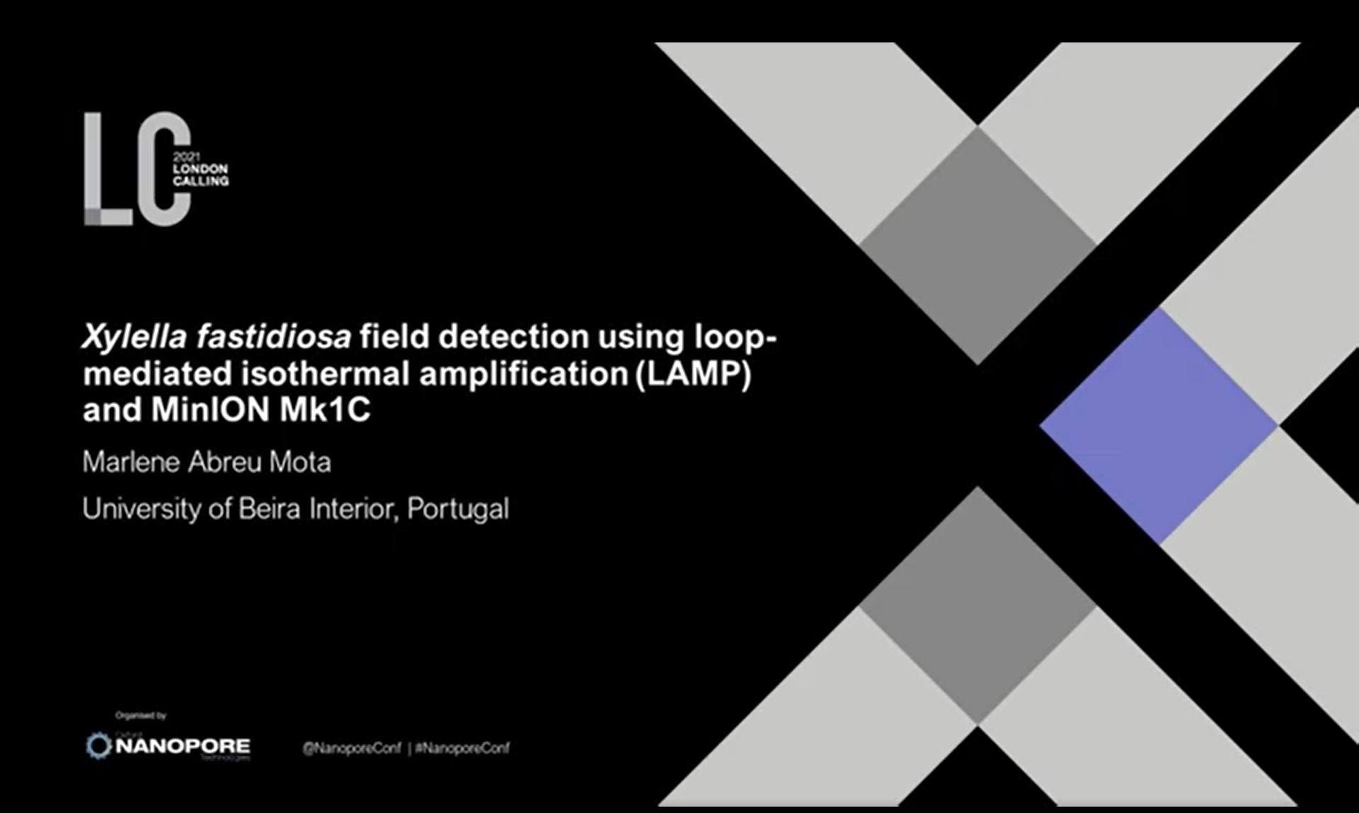 Xylella fastidiosa field detection using loop-mediated isothermal ...