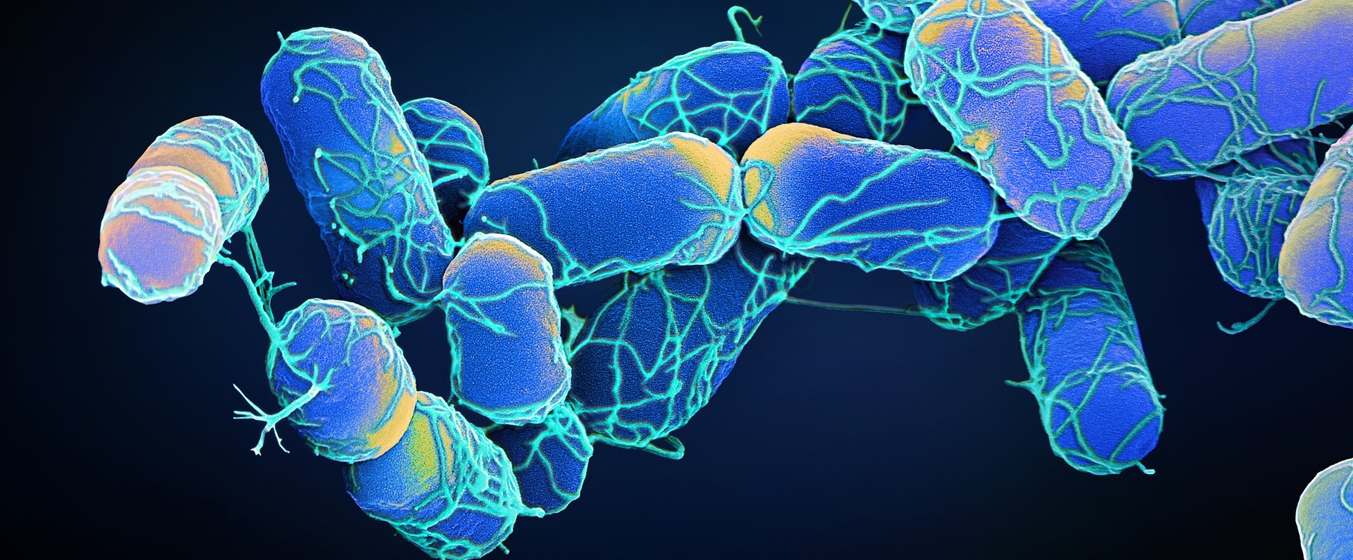 Detection of hidden antibiotic resistance through real-time genomics