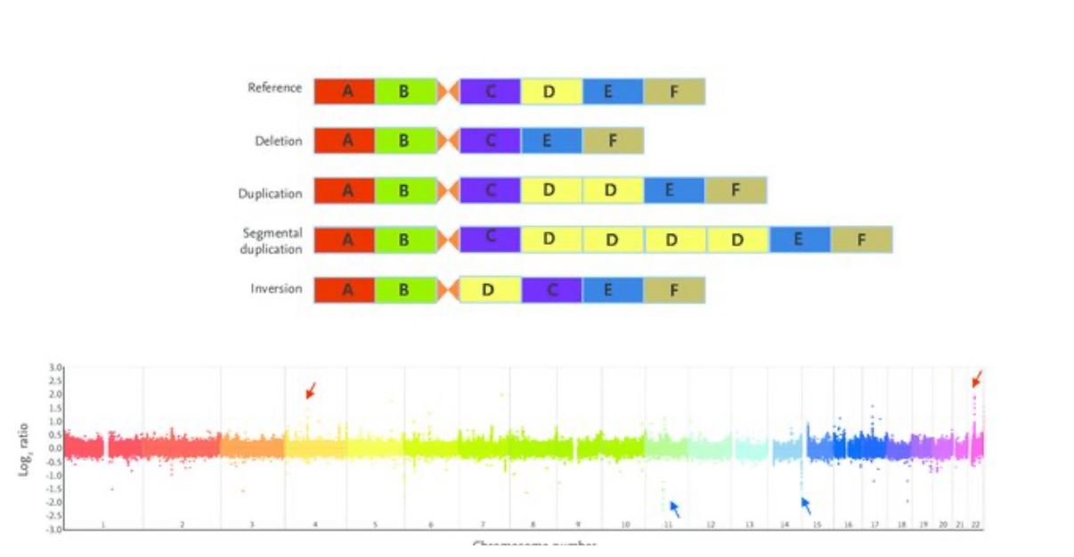 Third Generation Cytogenetic Analysis (TGCA): Potential Future ...