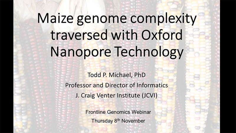 Maize genome complexity traversed with Oxford Nanopore Technology