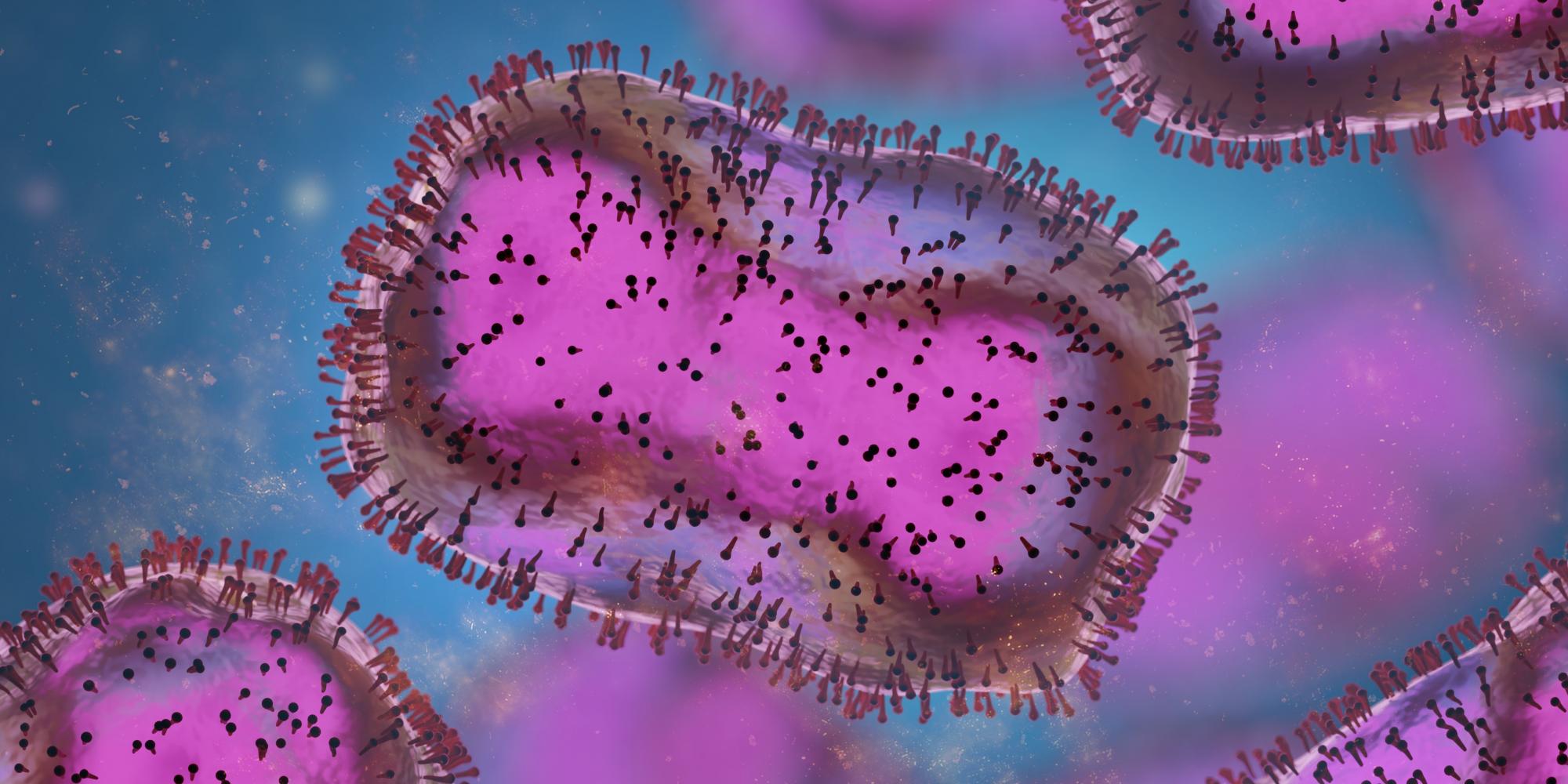 Monkeypox virus genome sequencing – first draft genome associated with ...