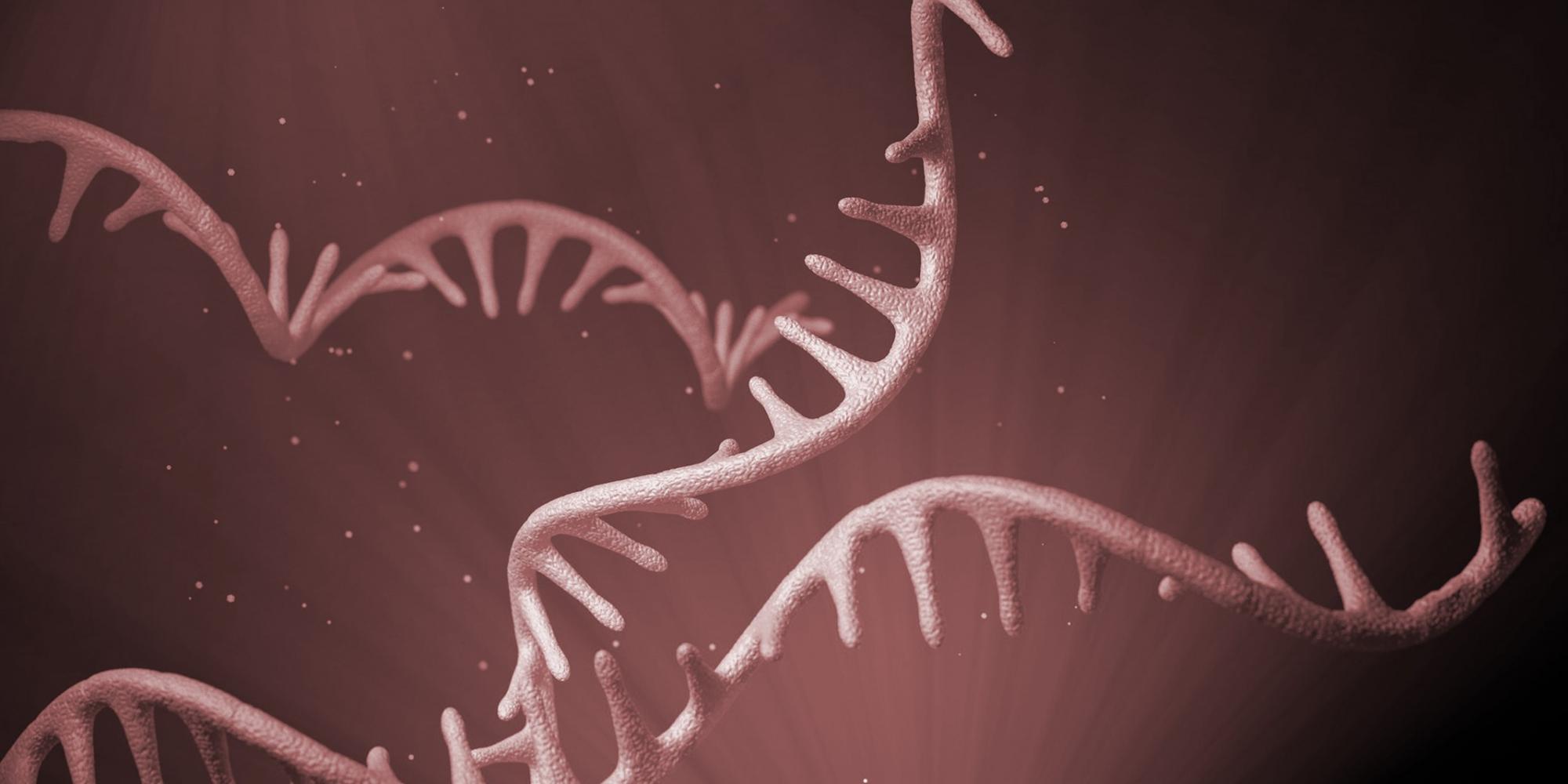 Unlocking the transcriptomic architecture of bacterial viruses with ONT ...