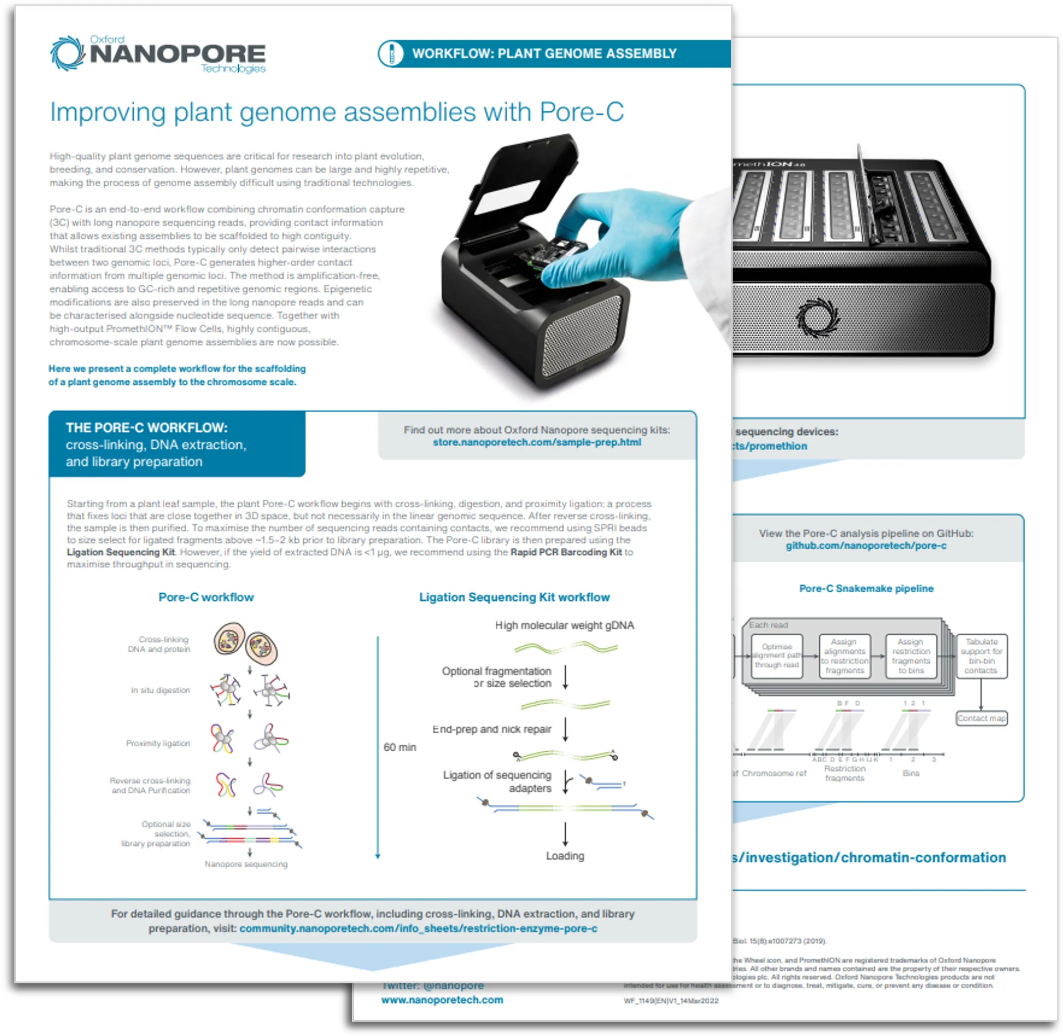 Chromatin conformation | Oxford Nanopore Technologies