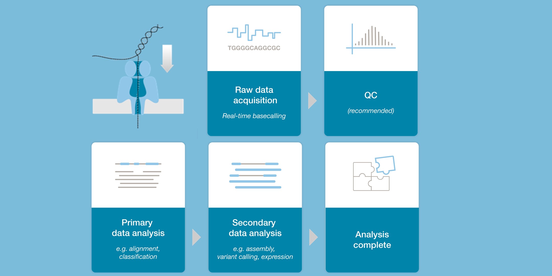 Analysis pipelines for nanopore sequence data