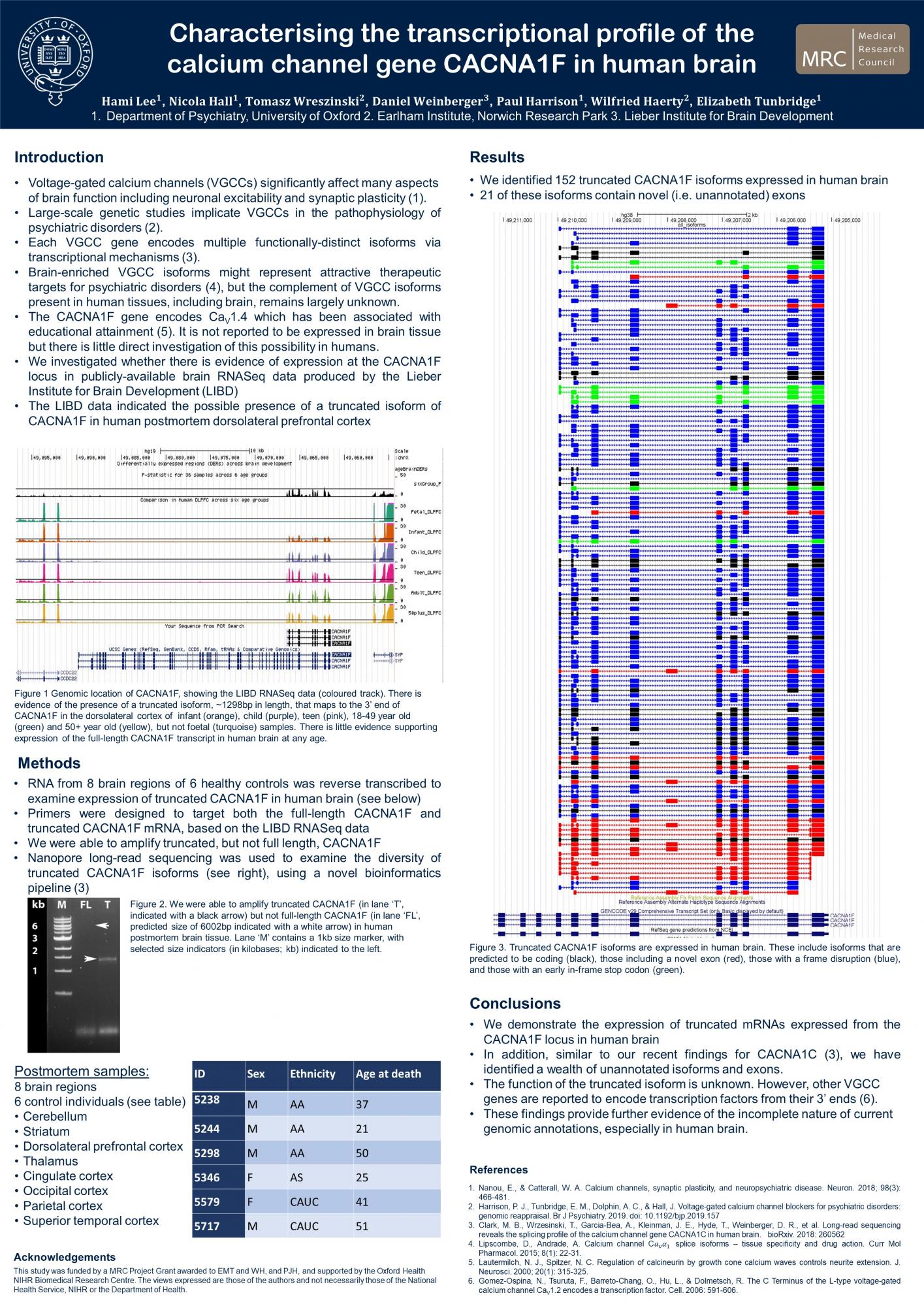Characterising the transcriptional profile of the calcium channel gene ...