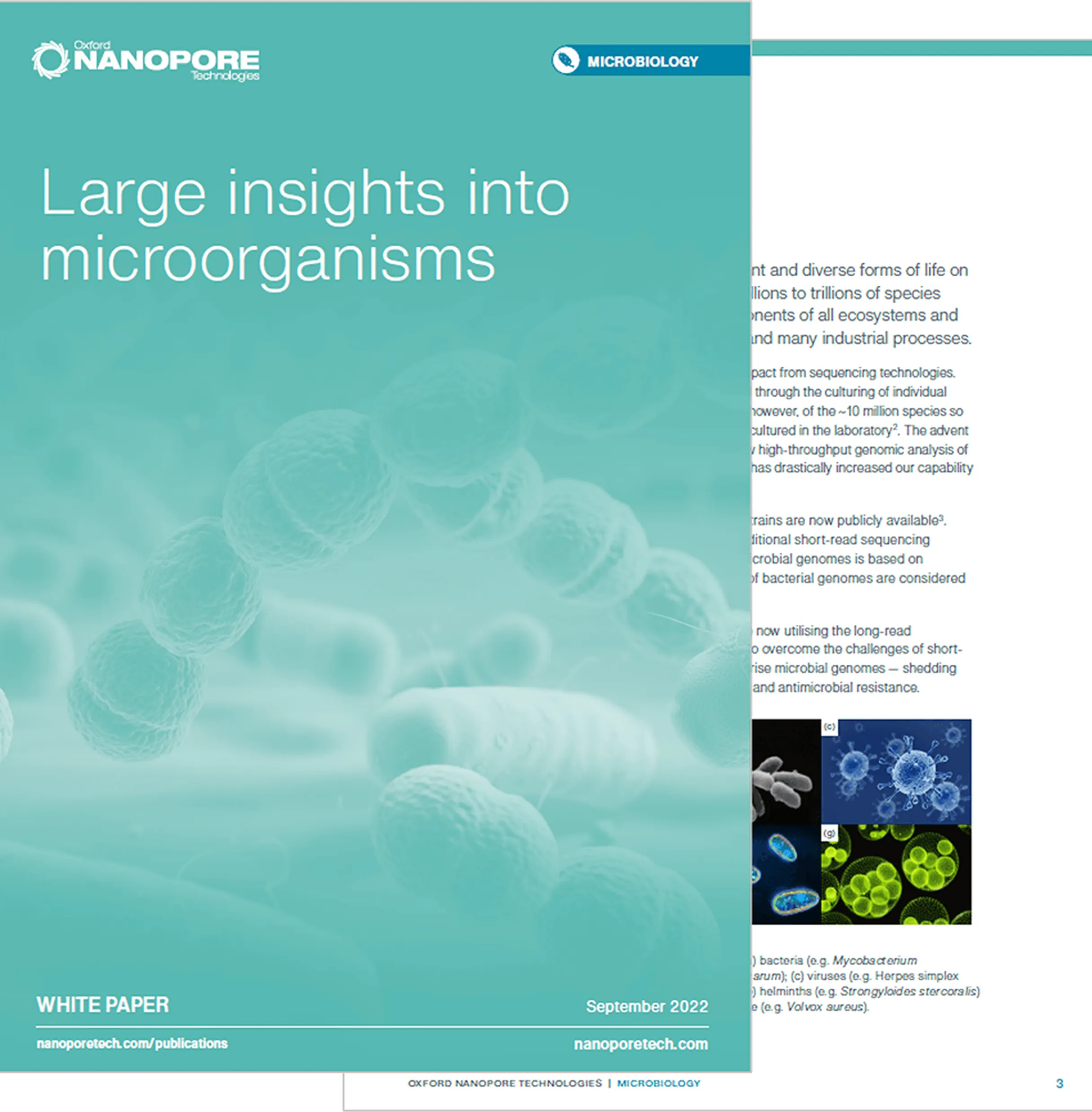 Microbiology & microbial sequencing