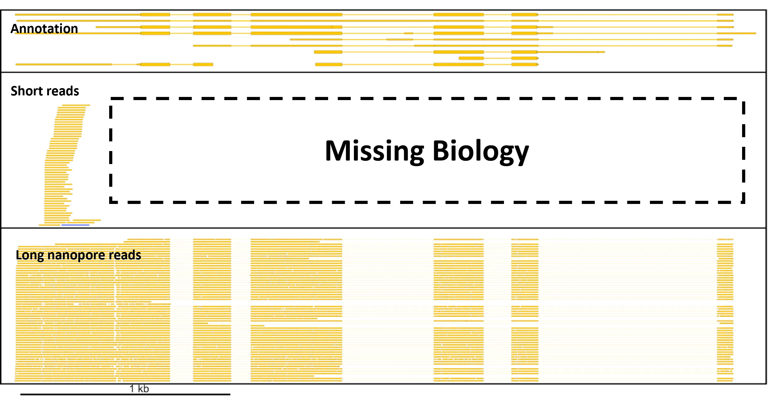 Single-cell sequencing | Oxford Nanopore Technologies