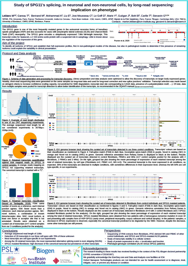 Study of SPG11’s splicing, in neuronal and non-neuronal cells, by long ...