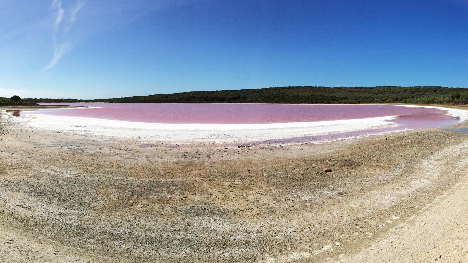 The Mystery of the Pink Lake | Oxford Nanopore Technologies