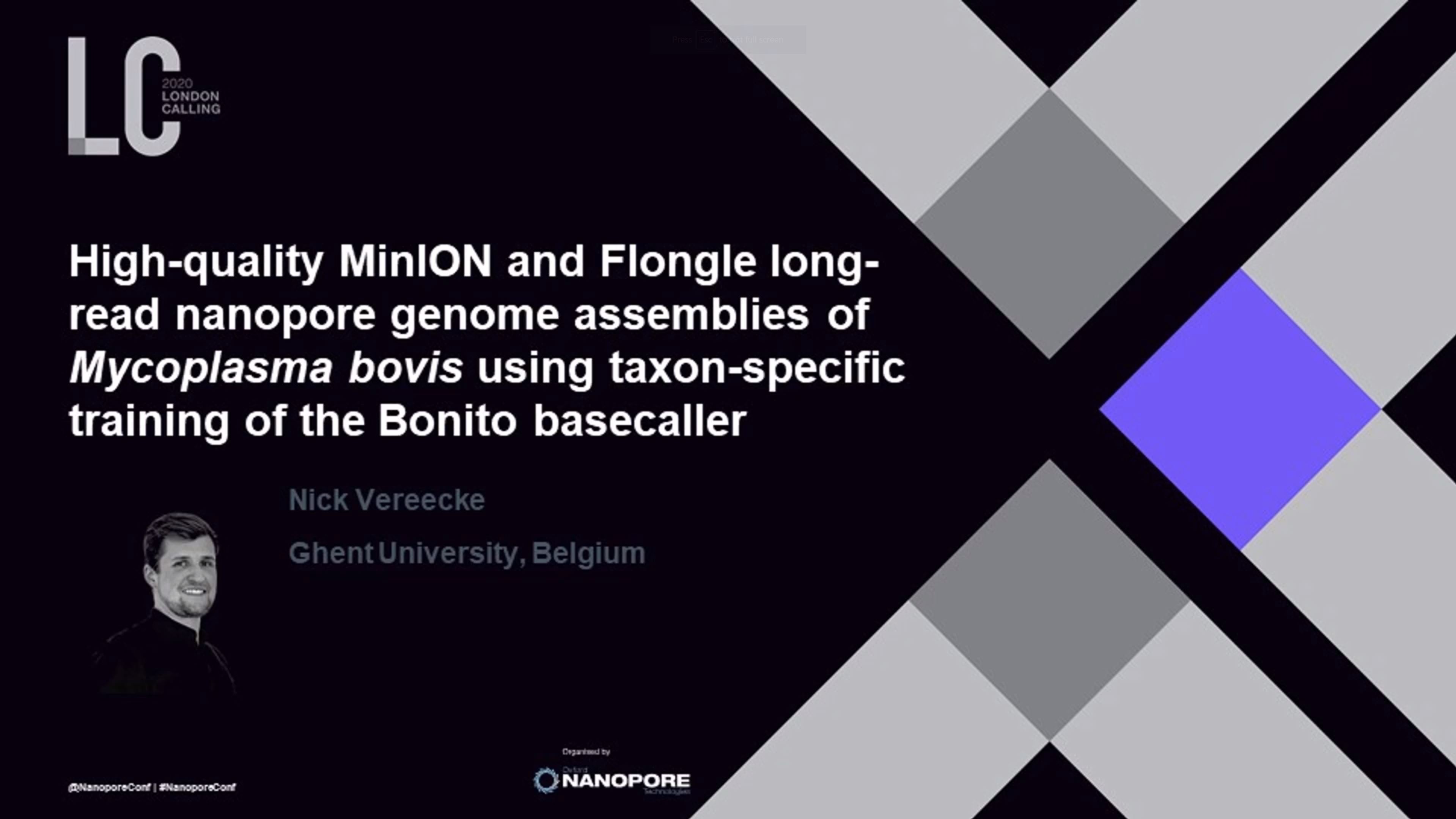 High-quality MinION and Flongle long-read nanopore genome assemblies of ...