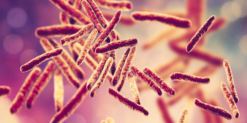 Product documentation - AmPORE-TB