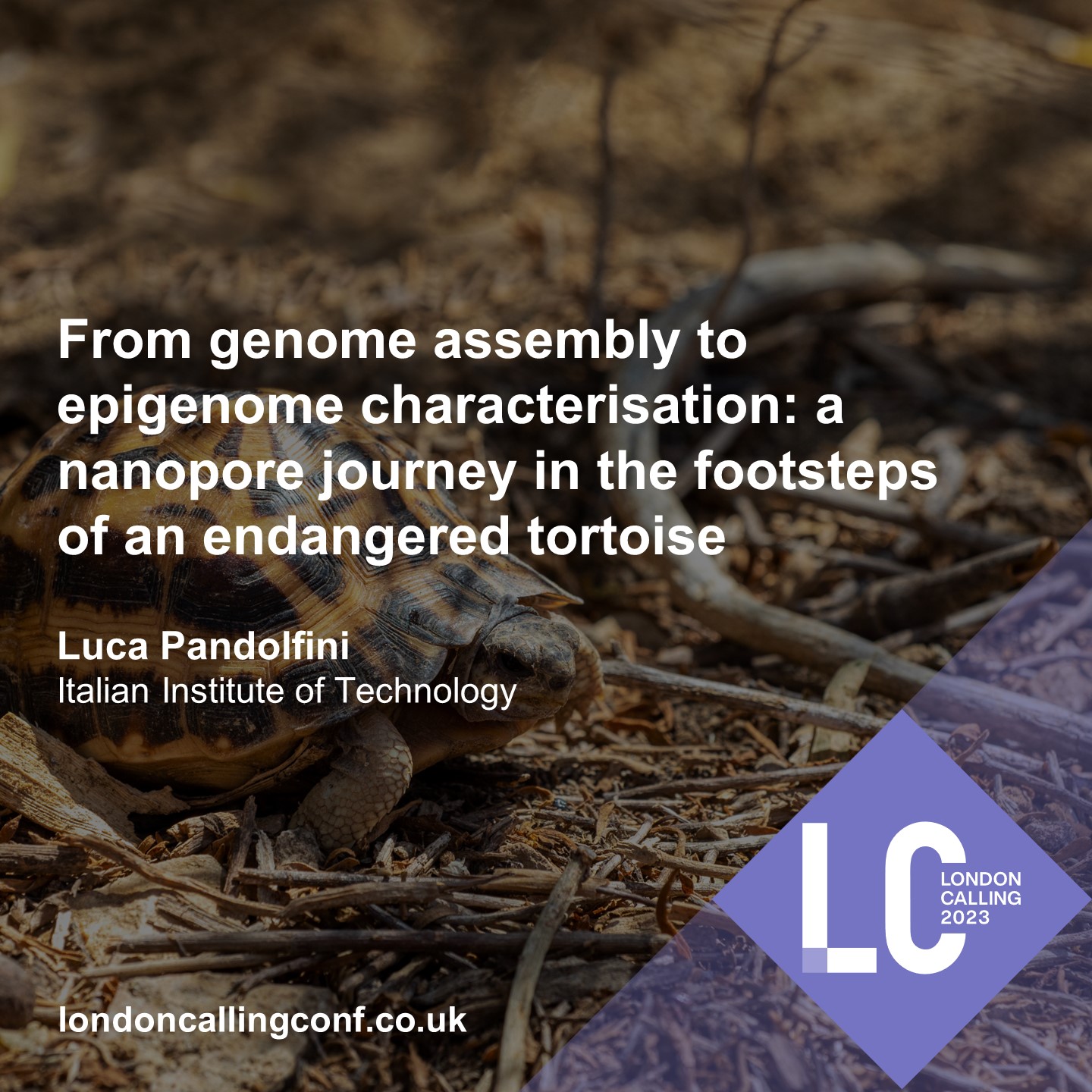London Calling 2023: From genome assembly to epigenome characterisation ...