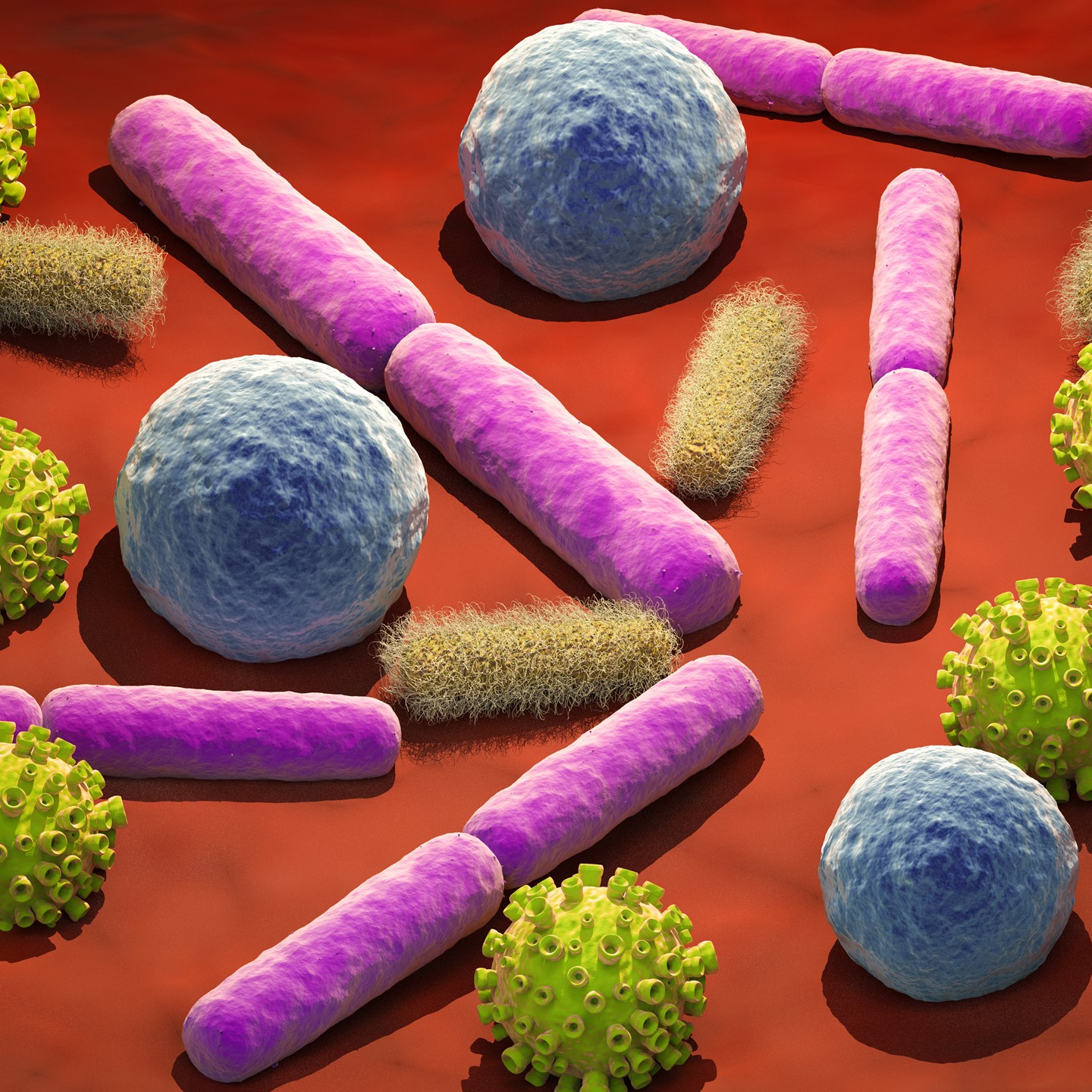 London Calling 2023: Analysing bacterial genomes - from species ...