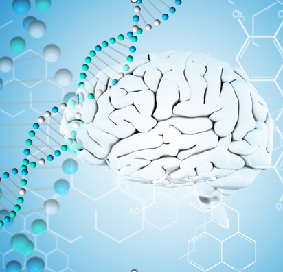 Structural variation | Oxford Nanopore Technologies | Oxford Nanopore ...